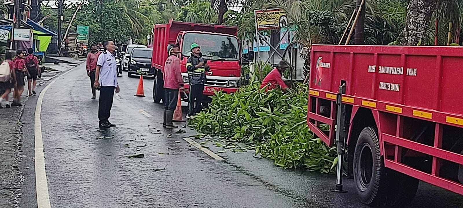 Pemotongan Pohon Perindang di Jalan Pantai Saba Jelang Hari Raya ...